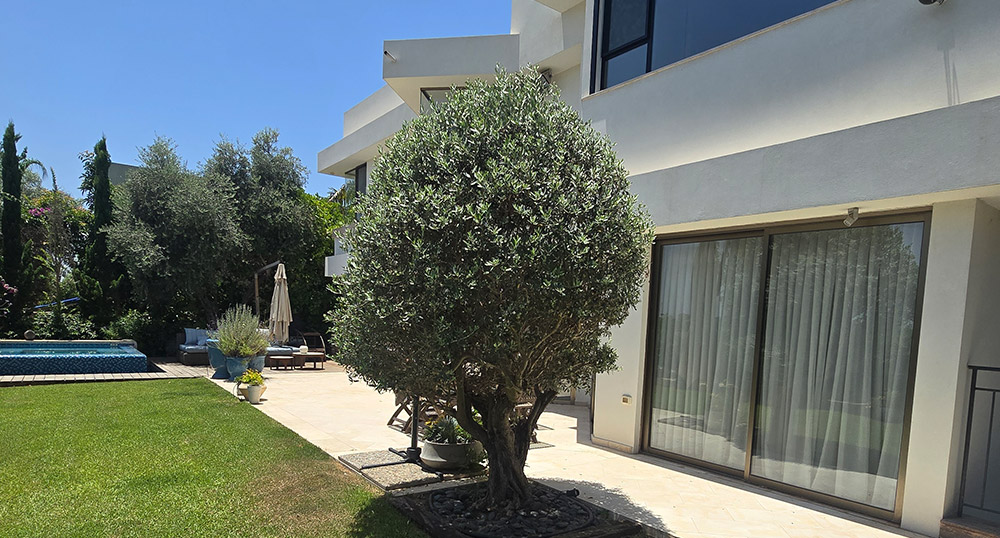 mob01 - אורית קפלן בוטיק נדל"ן